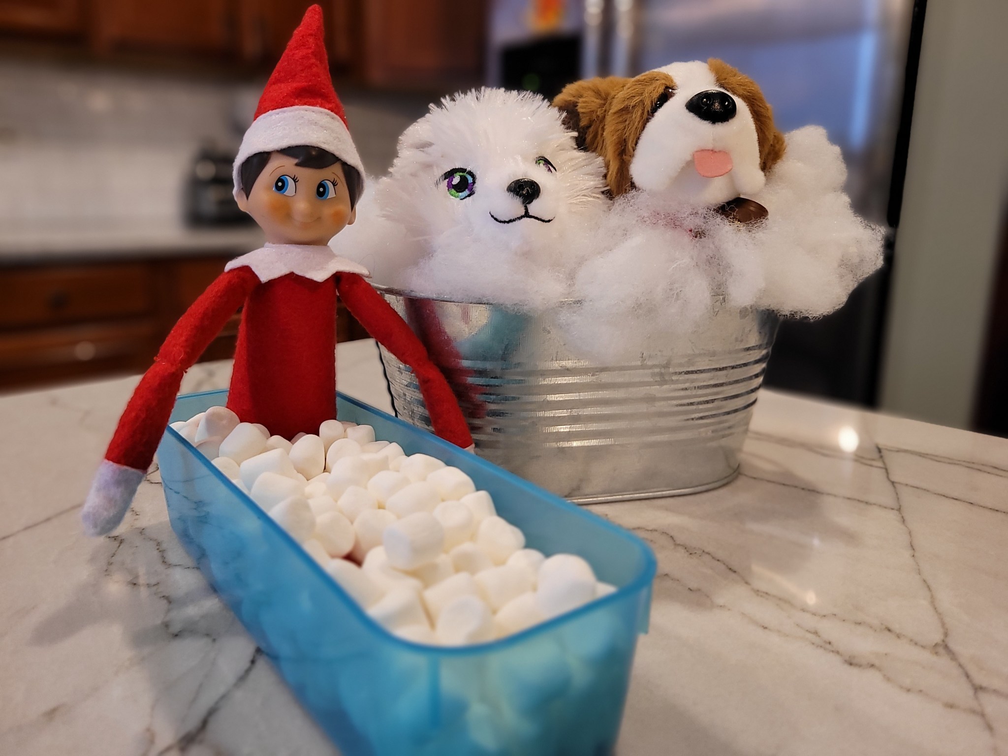The Tired Parent’s Advent Calendar: 24 Days of Elf on the Shelf Ideas ...