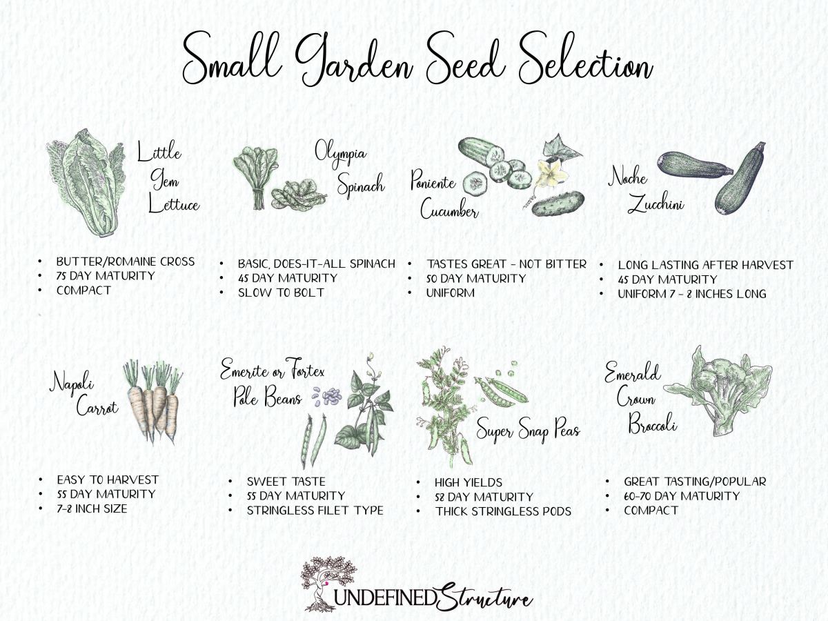 Our Story – Undefined Structure